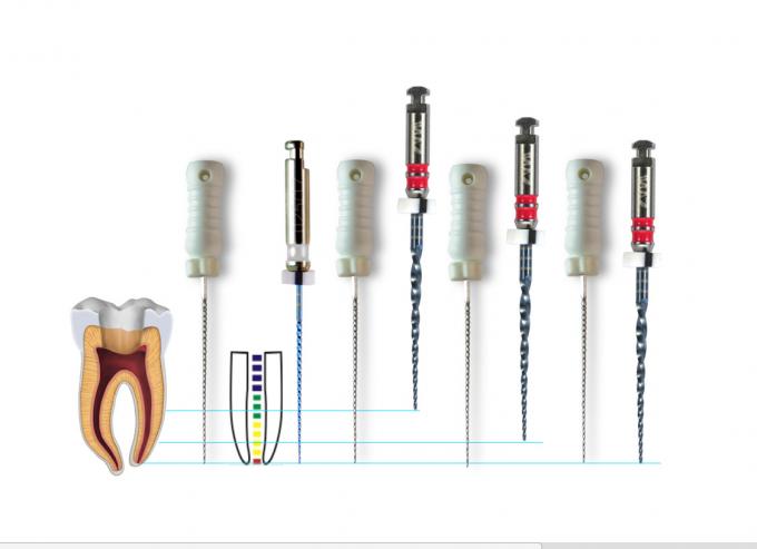 BS 3.0N/Cm Rotary Endo Files , Metal Silver 31mm Rotary Files